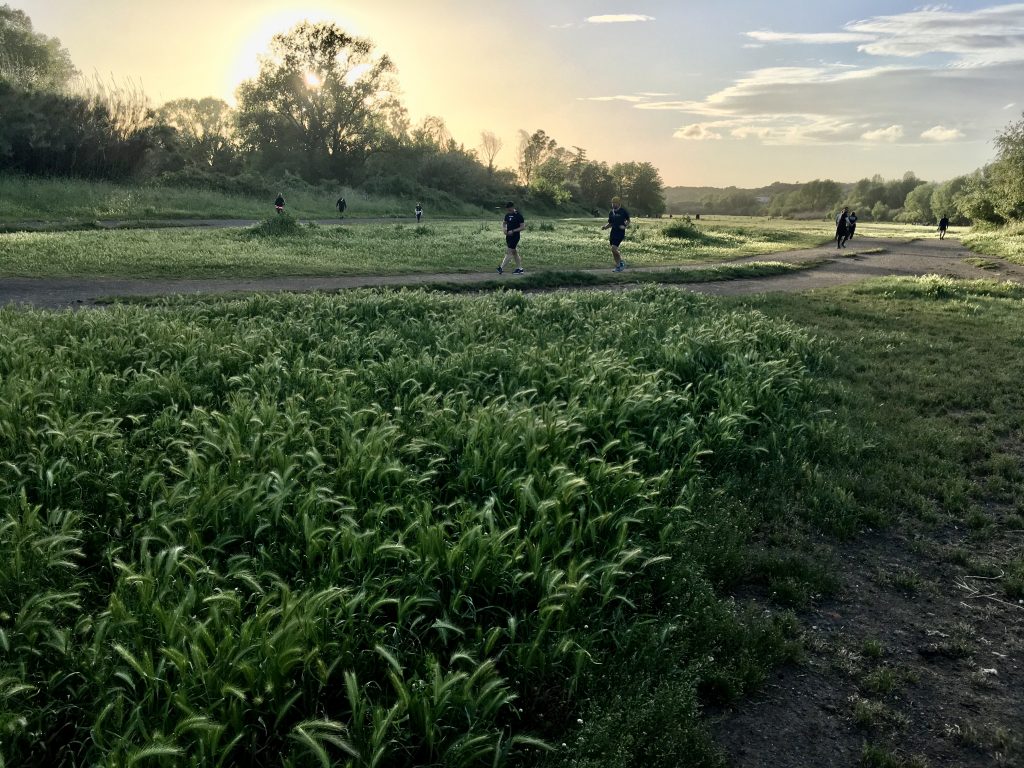 Il Parco della Caffarella. A piedi nella Storia - You Local Rome